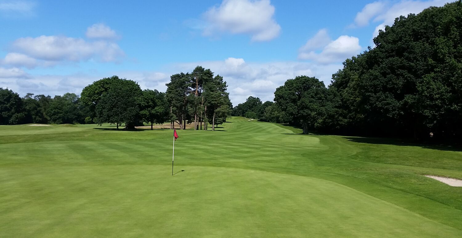 Visitors Welcome :: Visitors Welcome